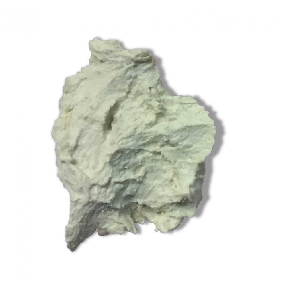 Protein Paste Drying | TurboRotor Mahltechnik Gorgens